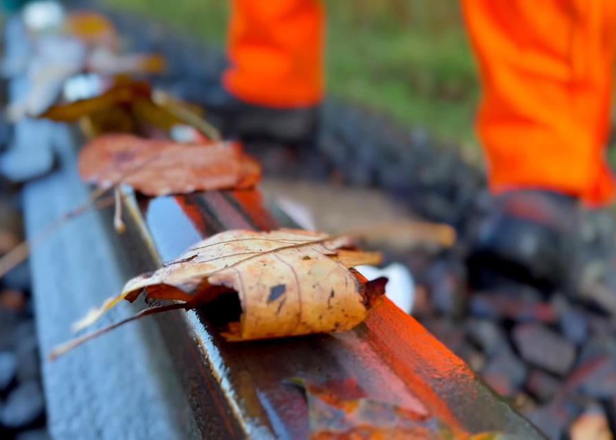 Leaves on the line – reality or just a railway urban myth?